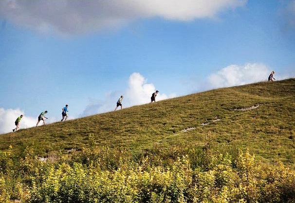 Chas Avis Harvest Trail - Royston Runners